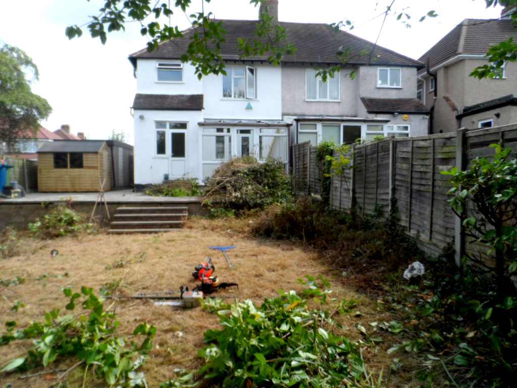 Domestic Modernisation - CSBD